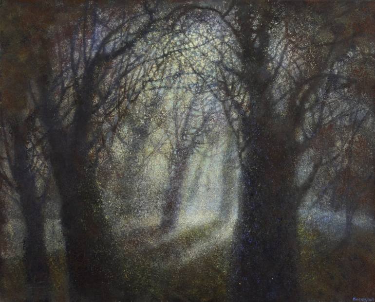 Caressing Rough Bark While Wandering through the Forest of the Night ...