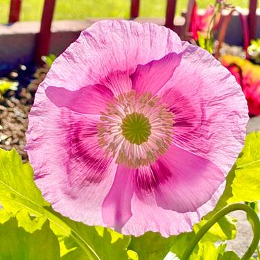 Stephan Glicken Artworks | Saatchi Art