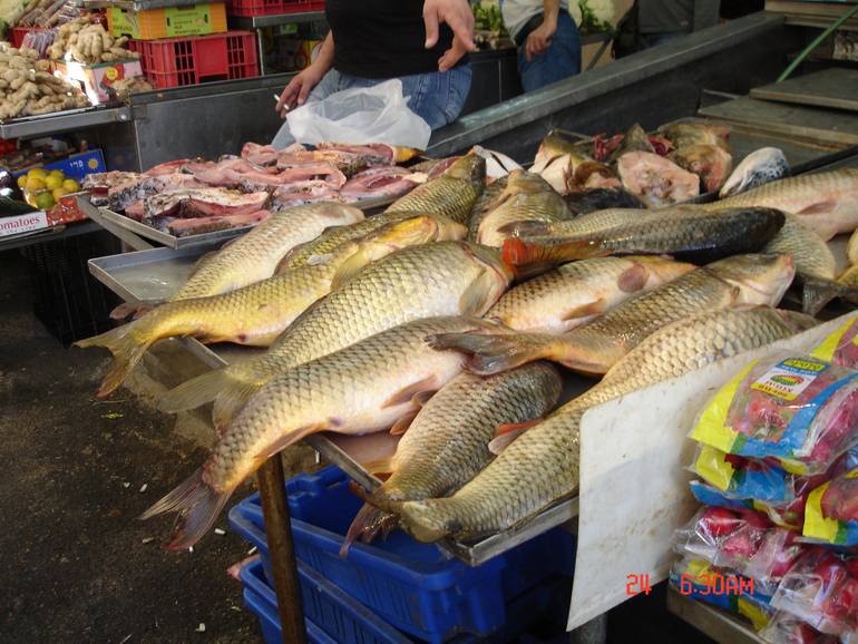 Fish Market in Jerusalem Photography by Stephan Glicken | Saatchi Art