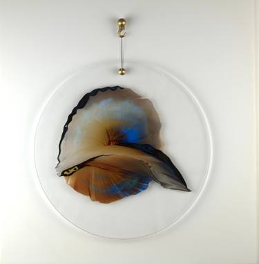 Meirav Sher Artworks | Saatchi Art