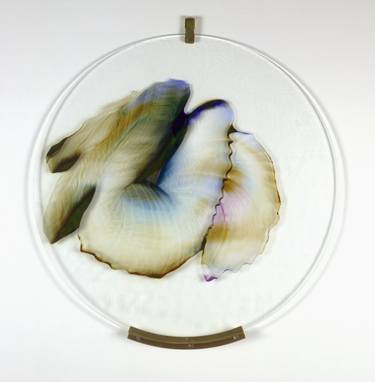 Meirav Sher Artworks | Saatchi Art
