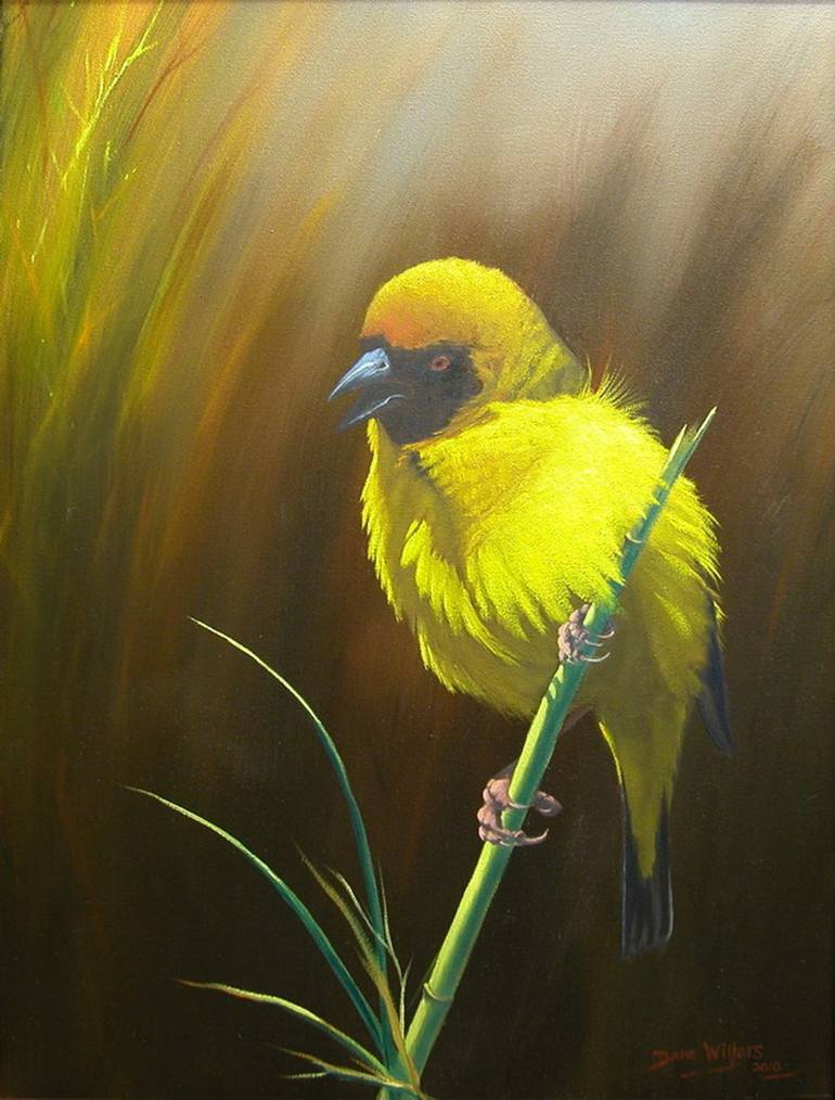 Masked Weaver Painting by Dane Willers | Saatchi Art