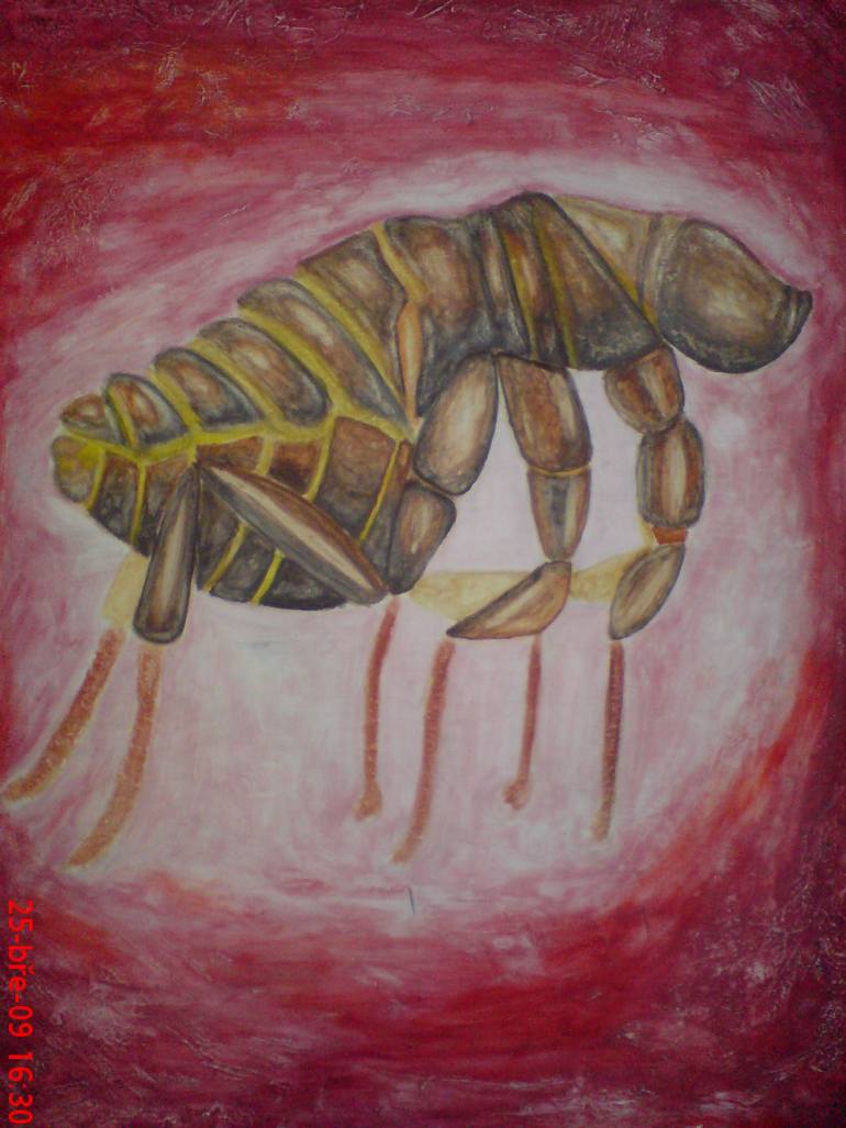 Flea Painting by Hynek Barak | Saatchi Art