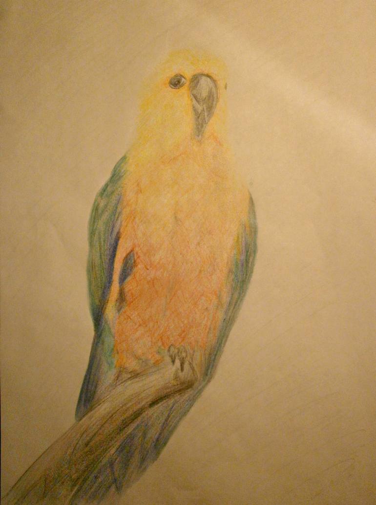 Peter Drawing by Руслана Усова | Saatchi Art