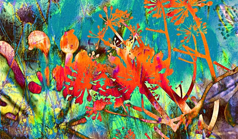 Happy Castor - Limited Edition 1 of 5 Photography by Jo Elizabeth ...