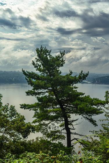 Steven Richman | Saatchi Art