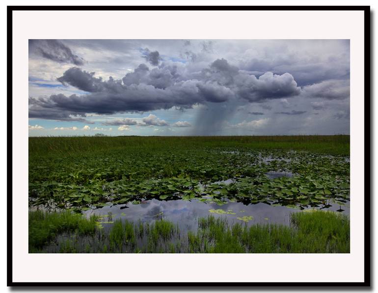 Approaching Storm, Florida Everglades Photography by Barry Steven Greff ...