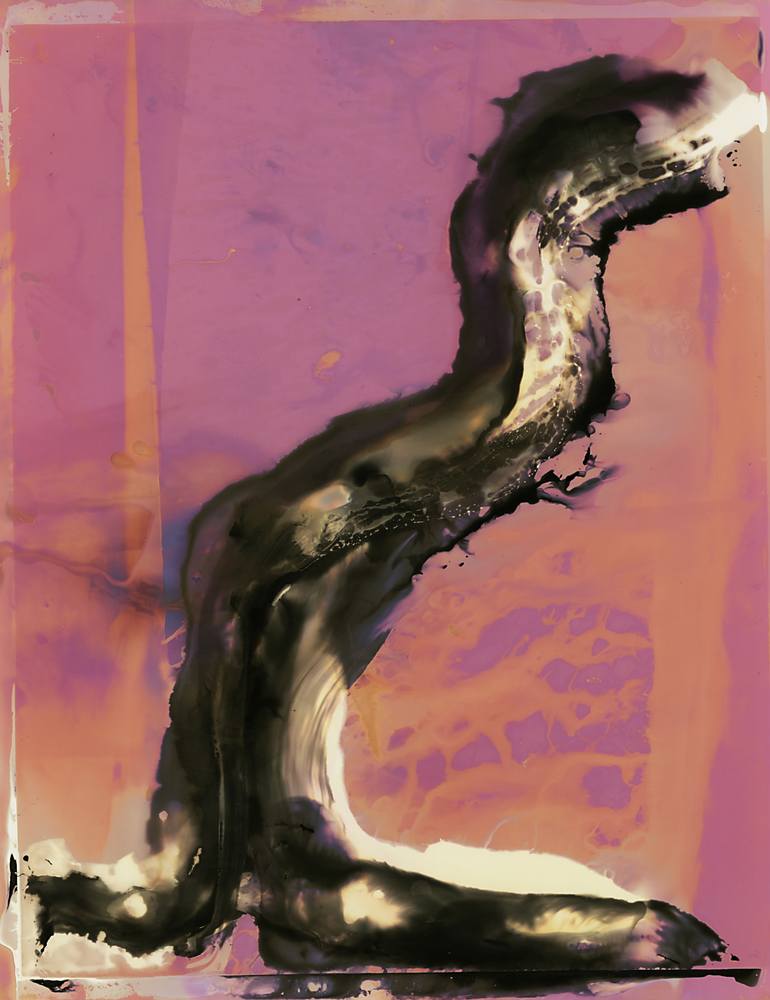 Growth and Divide Photography by Jordan Kyler | Saatchi Art