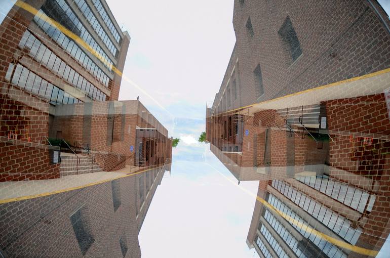 The Tallest Ones in Town Photography by Jordan Kyler | Saatchi Art