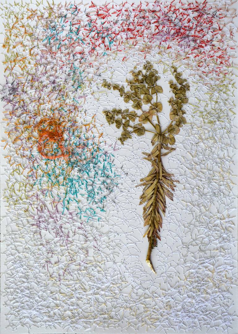 Euphorbia paralias II (Herbarium Series) Mixed Media by Mira Podmanicka ...