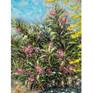 Blooming Acacia Tree in Aegina Greece Painting by Zac Zorbas | Saatchi Art