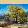 Blooming Acacia Tree in Aegina Greece Painting by Zac Zorbas | Saatchi Art