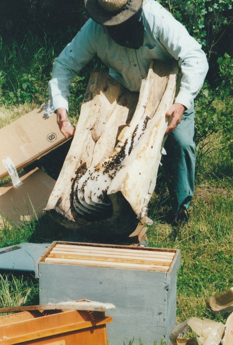 Abeilles Experiment Sculpture by Filimon Claudiu | Saatchi Art