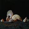 Still life with shells 1 Painting by Roman Reisinger | Saatchi Art