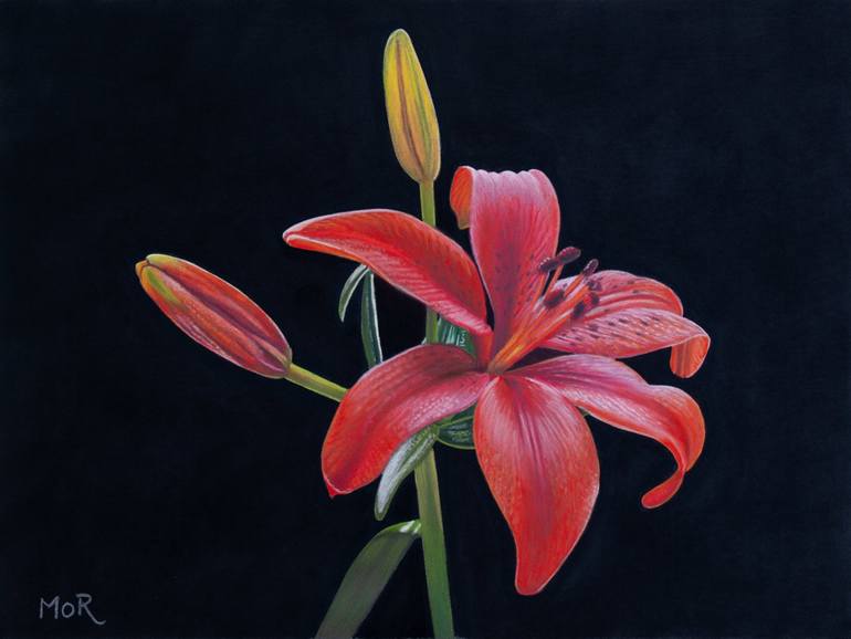 Red Lilly Painting by Dietrich Moravec | Saatchi Art