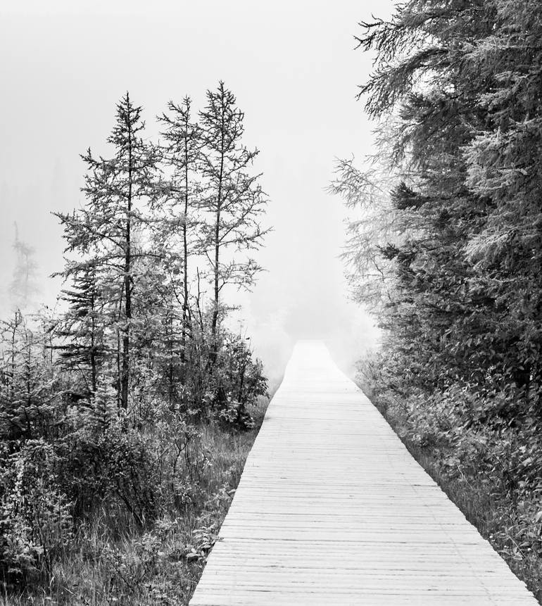 Pathway - Limited Edition 1 of 25 Photography by Kaia S | Saatchi Art