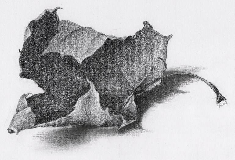 THE BEAUTY OF DECAY Drawing by Nives Palmic | Saatchi Art