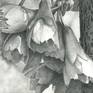 ROSACEAE Drawing by Nives Palmic | Saatchi Art