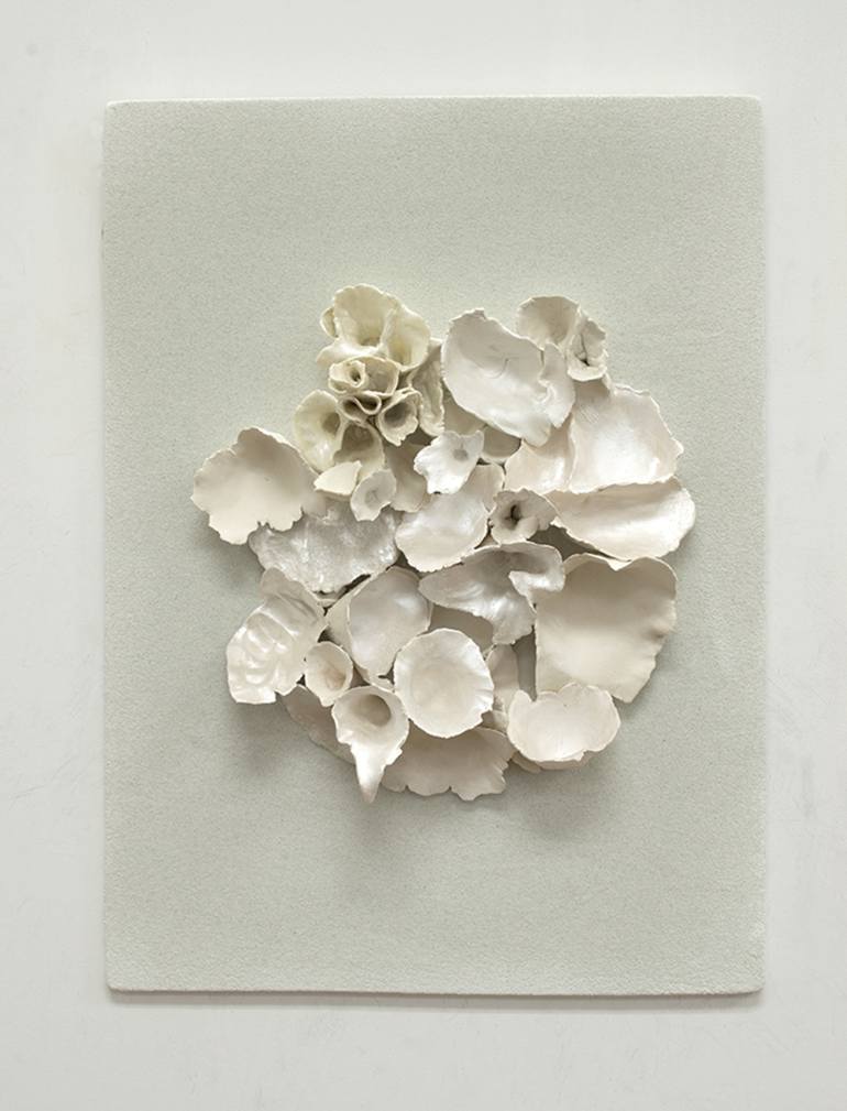 Concha Mare (Sea Shell) Sculpture by Susan Freda | Saatchi Art