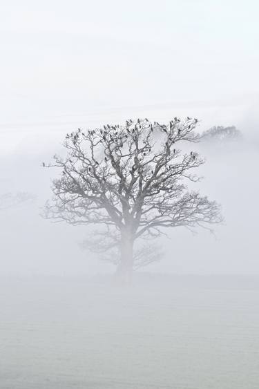 David Crosby Artworks | Saatchi Art
