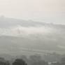 Devon Fog XXVI - Limited Edition 1 of 50 Photography by David Crosby ...