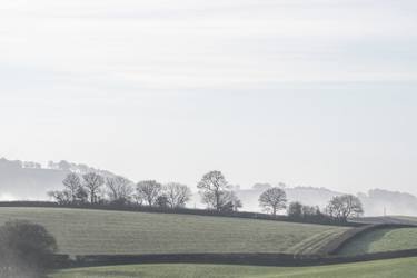 David Crosby Artworks | Saatchi Art