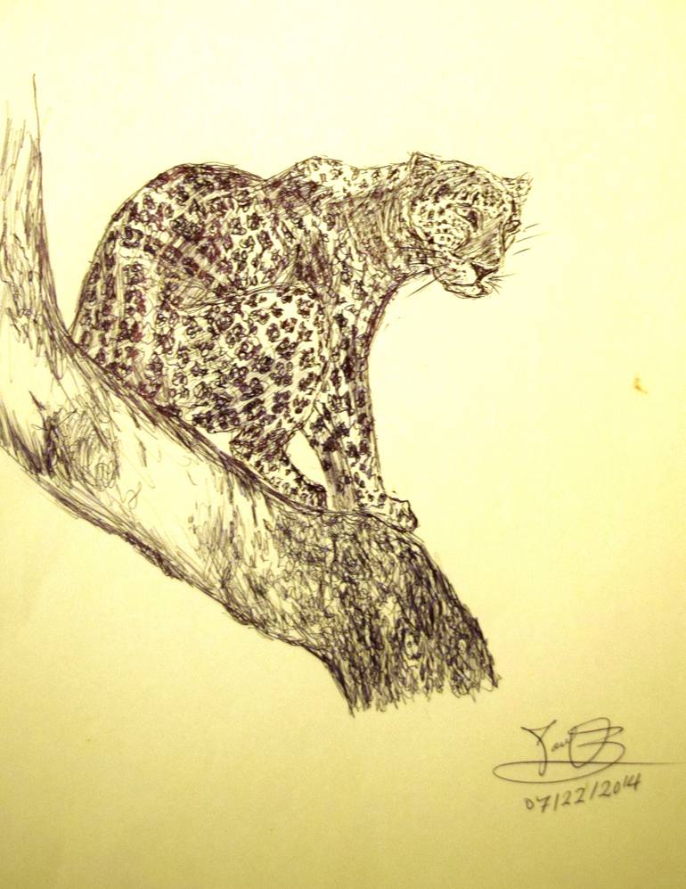 leopard in the wild Drawing by Fayez Sedarous | Saatchi Art