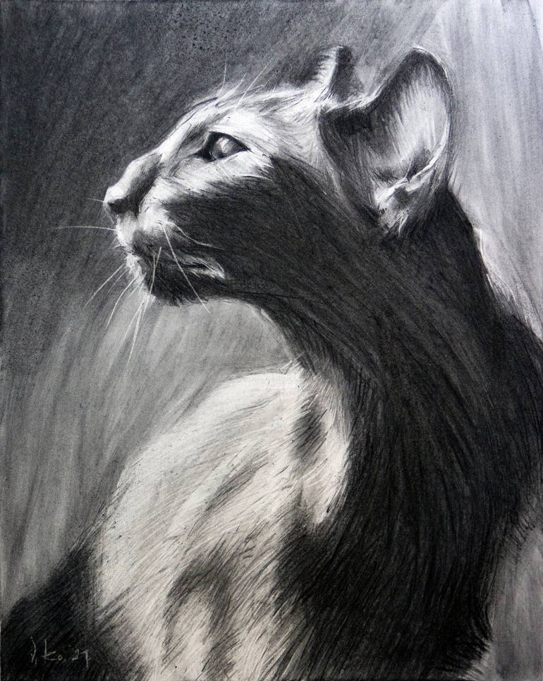 Cat Shadow Drawing by Vasyl Kovach | Saatchi Art