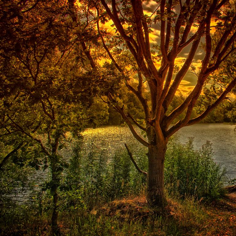 the wishing tree Photography by Tony Billings | Saatchi Art