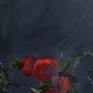 Rose Hip Painting by Karin Goeppert | Saatchi Art