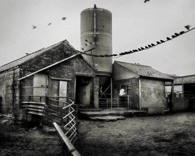 Farm study v Photography by Chris Tancock | Saatchi Art