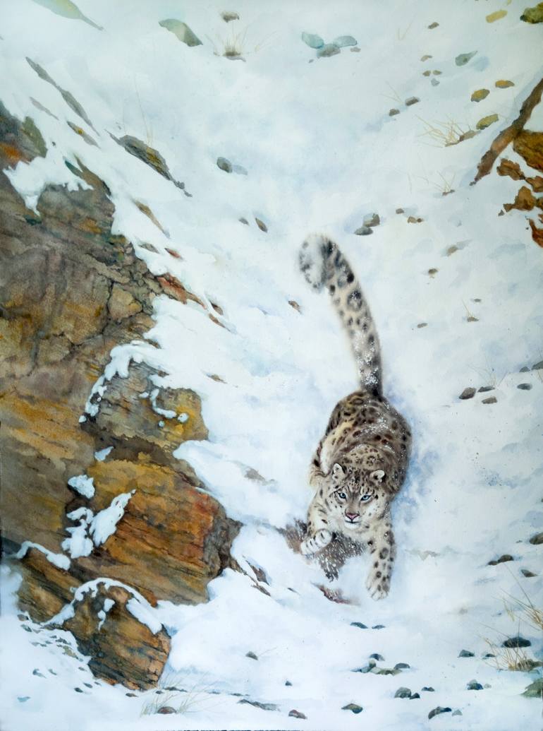 Snow Leopard on Mountain side - Ghost of the Mountains Painting by Olga ...