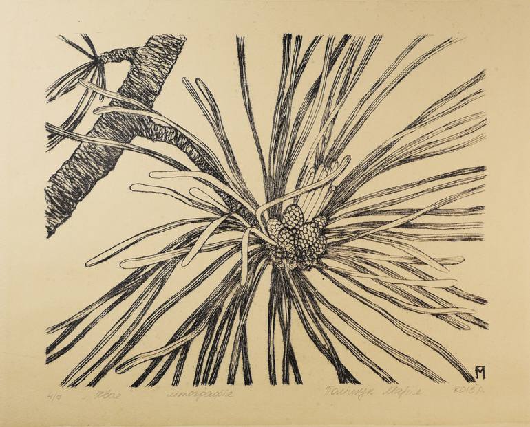 Needles Printmaking by Maria Polishchuk | Saatchi Art