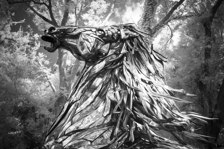 Chrome Stallion (Limited Edition of 1/25) Large 20 x 30 inches Photography by John Thor ...