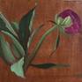 Floral Study of a Peony Painting by Lydia Mincey | Saatchi Art