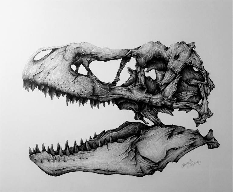 Trex Skoull Drawing by Chi Mak | Saatchi Art
