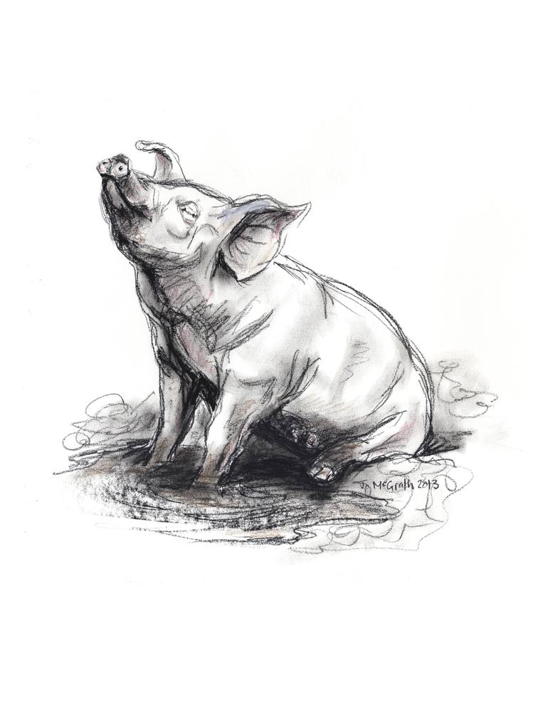 Percy the Proverbial Pig Drawing by Jo McGrath | Saatchi Art