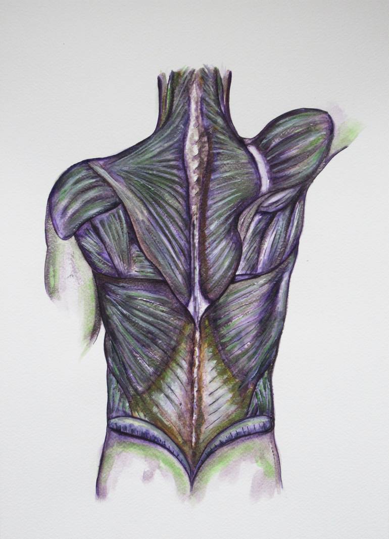 Musculature of the Back Painting by Jacqueline Talbot | Saatchi Art