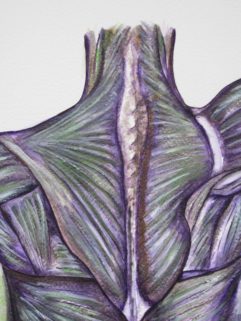 Musculature of the Back Painting by Jacqueline Talbot | Saatchi Art