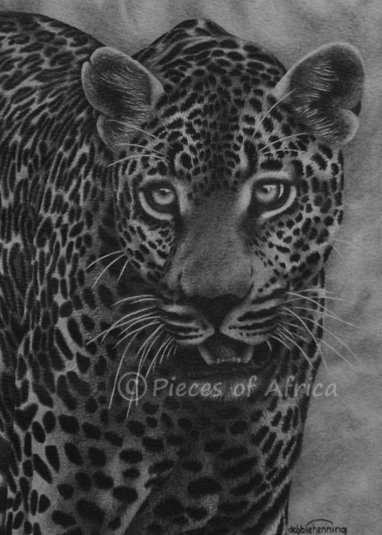 Curiosity Drawing by Debbie Henning | Saatchi Art