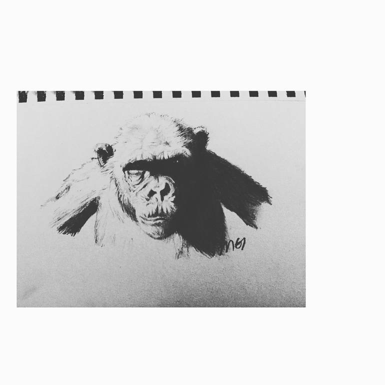 Inquisition Drawing by Maisie Goodman | Saatchi Art
