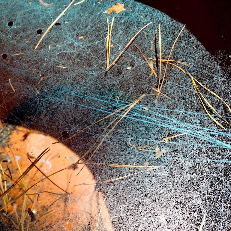 Another Universe Photography by Patrick Sheeran | Saatchi Art