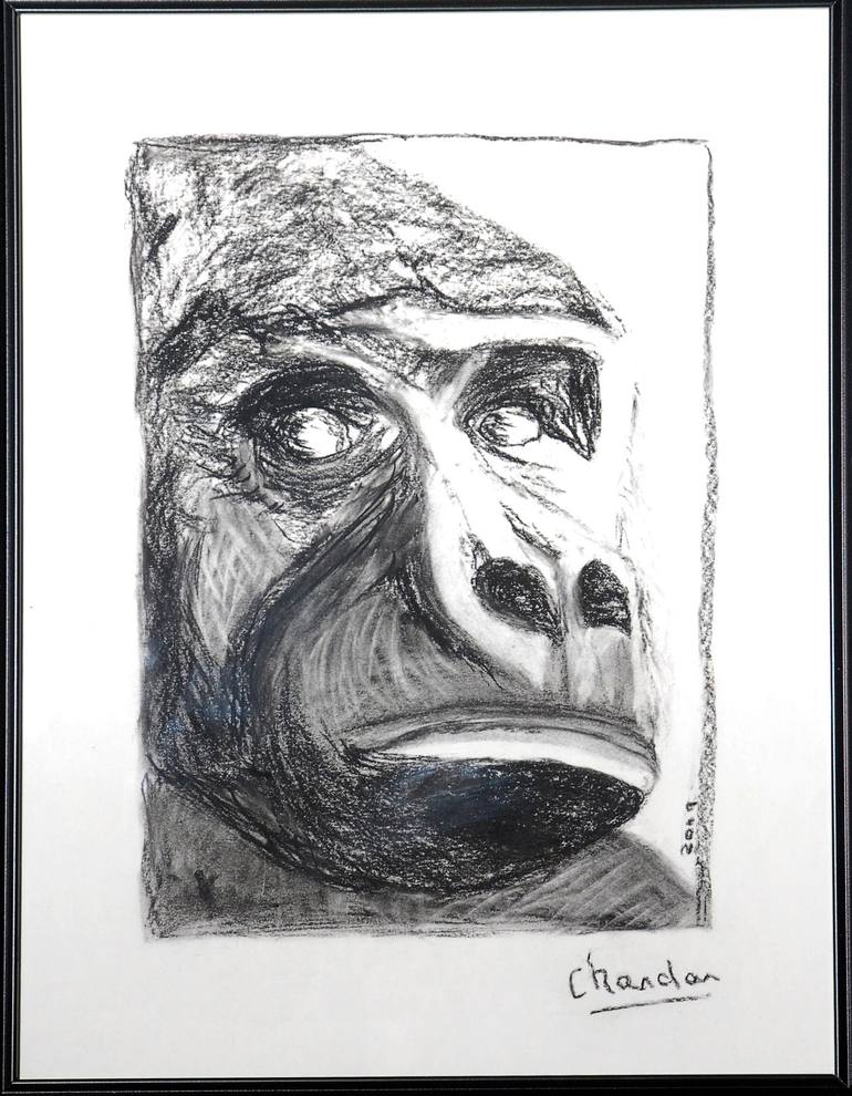 Jungle Look Drawing by Y Chandan Rao | Saatchi Art