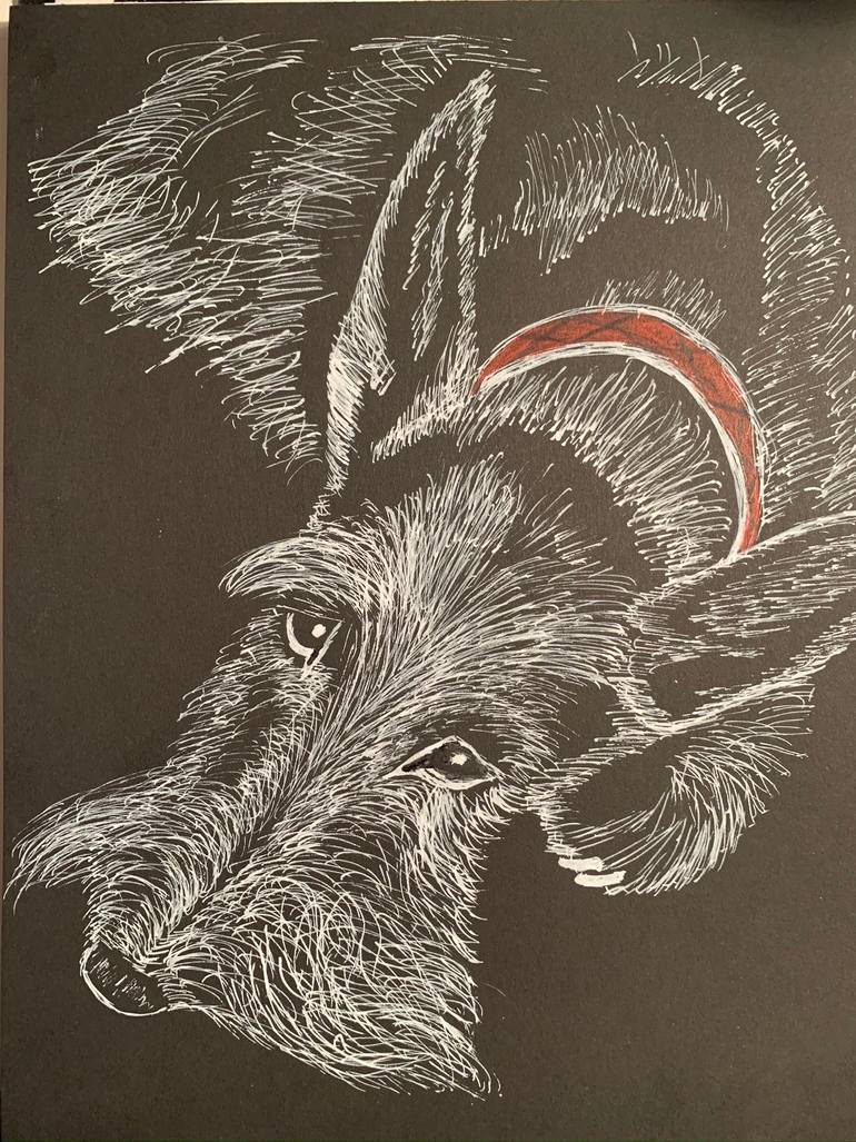 Dark Eyes Drawing by peter redman | Saatchi Art