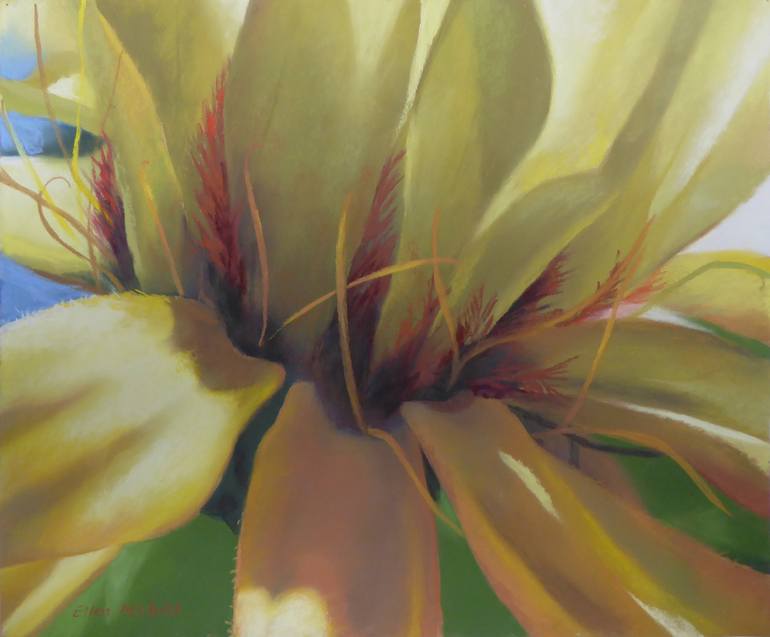 Golden Light Drawing by Ellen Mcgill | Saatchi Art