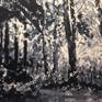 Forest Light #3 Painting by Mark Rafenstein | Saatchi Art