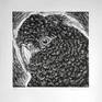 Black Cockatoo linocut Print Printmaking by Matthew Broughton | Saatchi Art