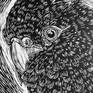 Black Cockatoo linocut Print Printmaking by Matthew Broughton | Saatchi Art