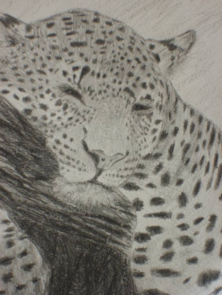 the sleepy leopard Drawing by Margaret L Laws | Saatchi Art