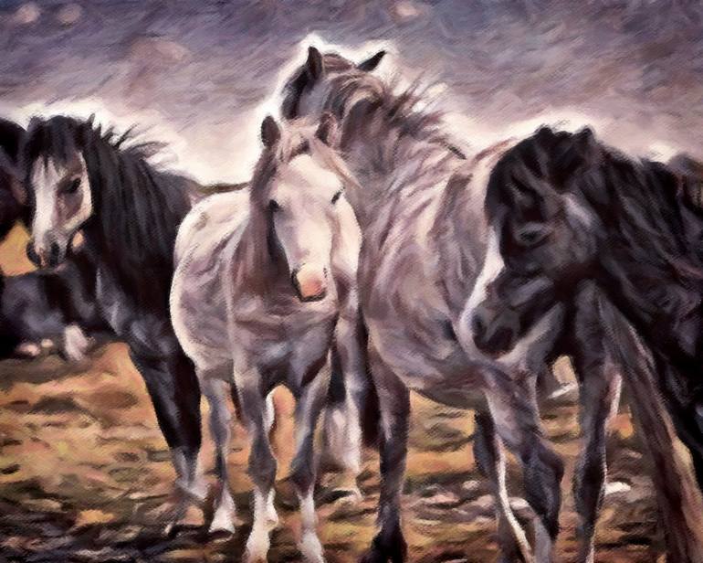 Wild Mustangs Painting by Susan Maxwell Schmidt | Saatchi Art